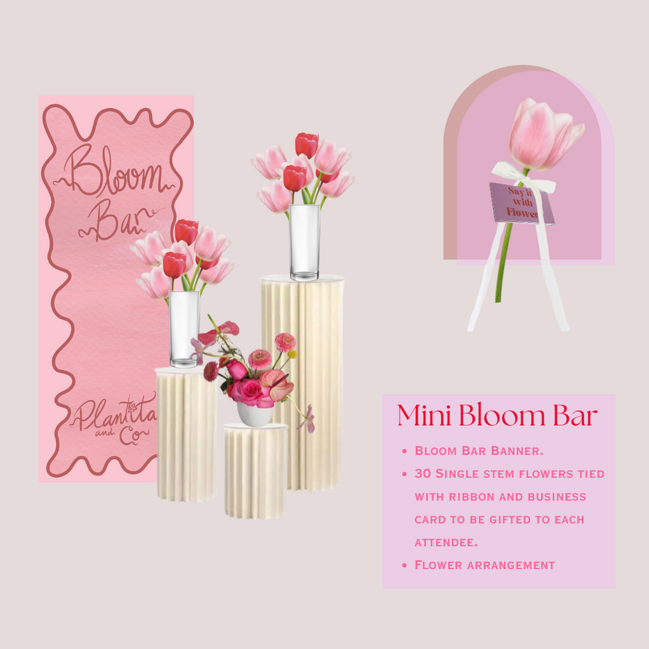 Workshops – Plantita & Co. Bloom Bar & Studio